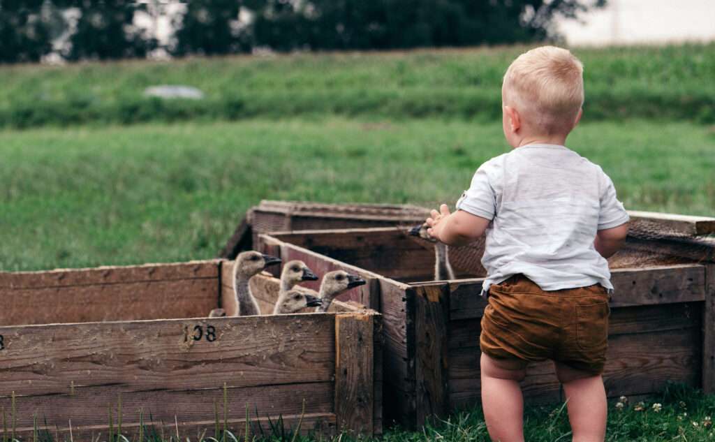 Instruction does not address the immediate moment-by-moment concerns ...